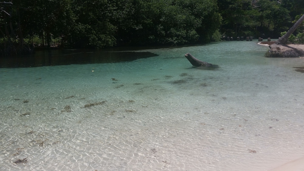 Villa Ximenoa River - Excelente Alquiler De Vacaciones - Jarabacoa