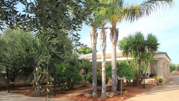 Área ajardinada com palmeiras, um edifício com telhado em cerâmica e um caminho pavimentado.