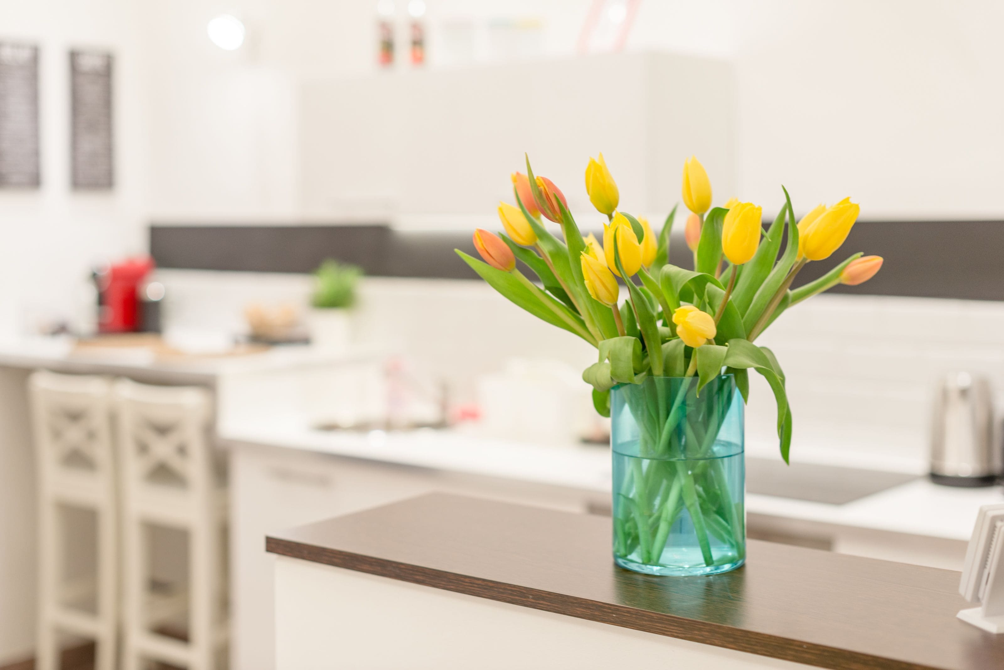 Apartamento, 2 quartos | Cozinha privada | Um frigorífico, um micro-ondas, um forno, uma placa de cozinha 