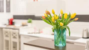 Apartamento, 2 quartos | Cozinha privada | Um frigorífico, um micro-ondas, um forno, uma placa de cozinha