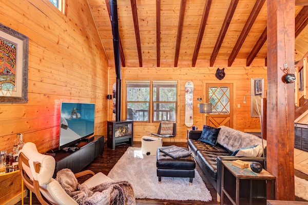 High Vibe Breckenridge Cabin With Sauna + Ancient Wilderness - Breckenridge, CO