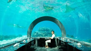 Um homem jantando em um restaurante subaquático, com vista para a vida marinha.