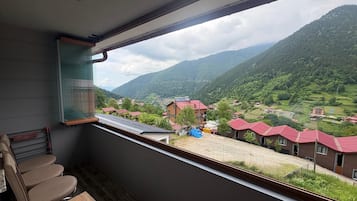 Apartamento Familiar, 1 quarto, varanda, vista para o lago | Varanda