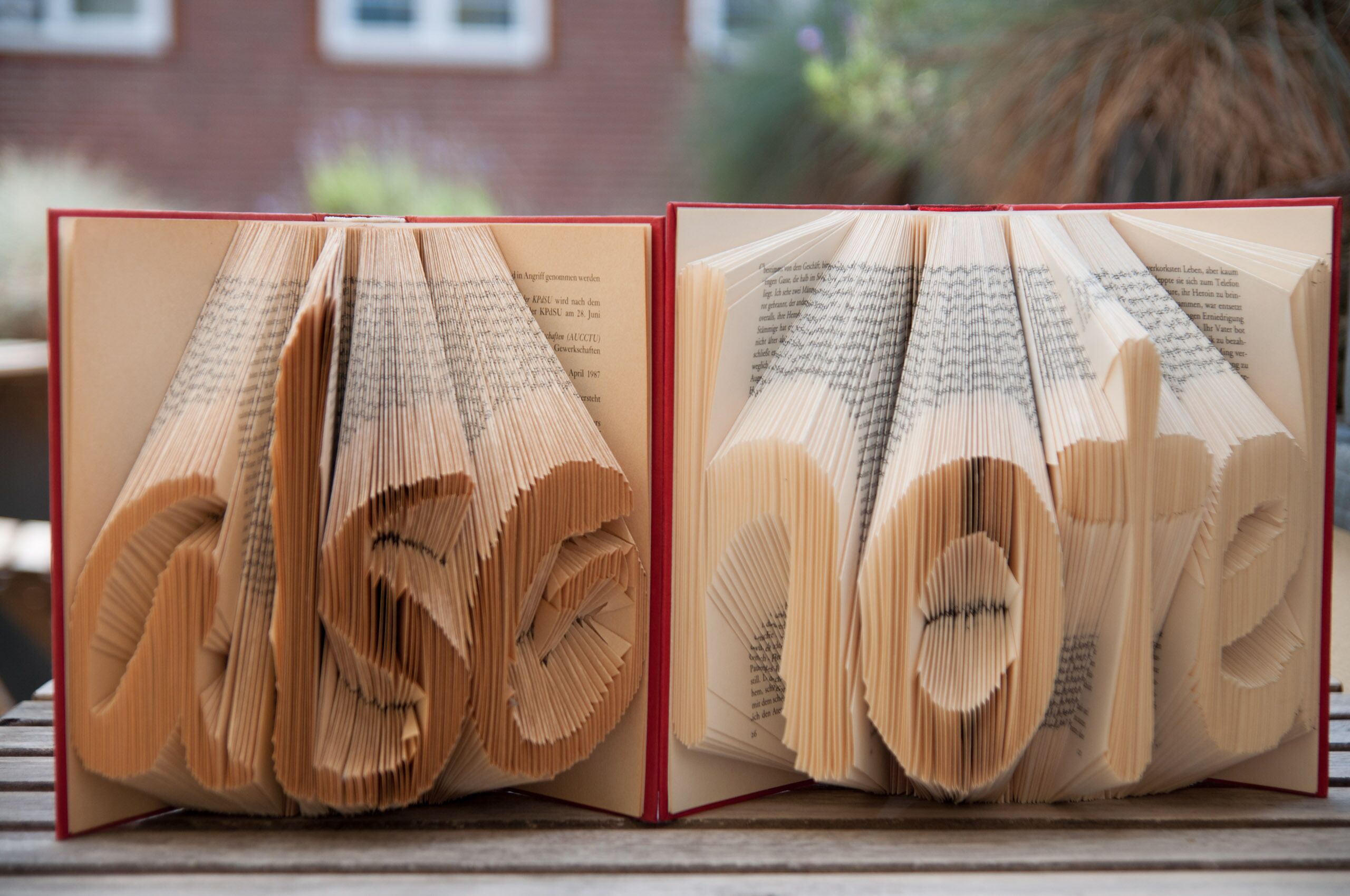 Dois livros com páginas dobradas em formatos de rosto e coração.