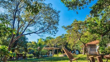 Jardim