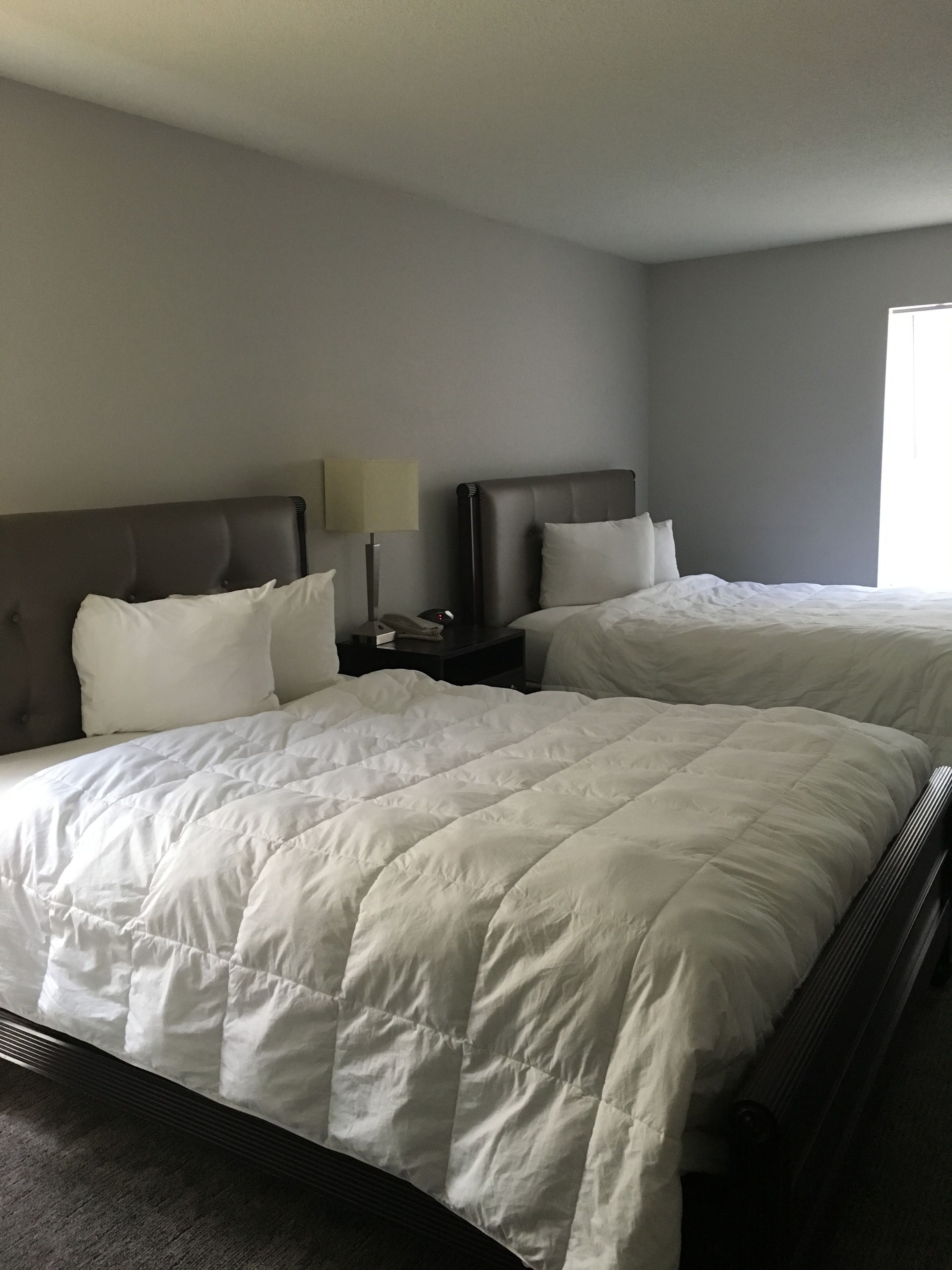 Apartamento executivo, 2 camas Queen | Individualmente decorados, individualmente mobiliados, escrivaninha