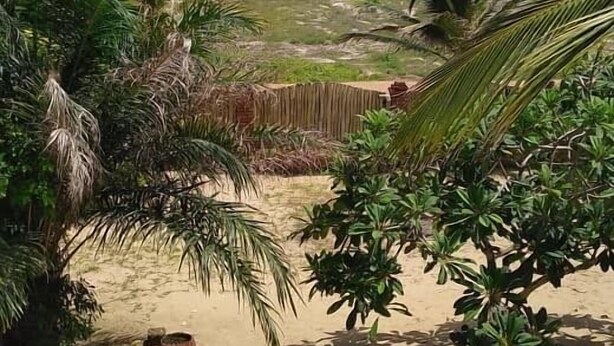 Vista de uma praia com palmeiras e uma área arenosa.