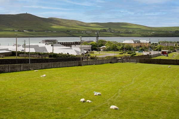 Seaview Heights - Dingle