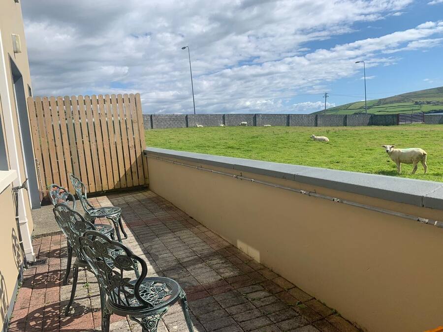 Uma varanda com vista para um campo gramado e ovelhas, uma cerca de madeira e cadeiras de metal.