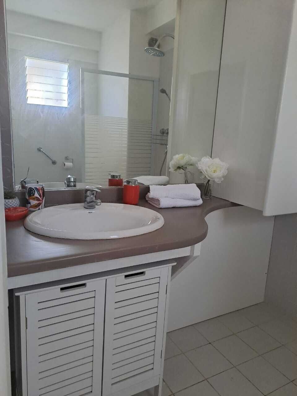 Casa de banho com uma pia branca, um espelho, chuveiro e sanita.