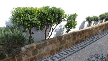 Paredede pedra com um tapete estampado e uma fileira de árvores em frente a uma parede branca.