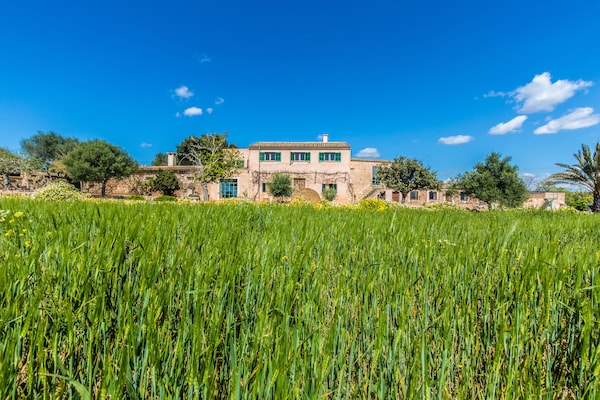 Finca Agroturismo Sa Cova Den Borino - Majorque