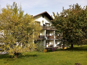 Jardim