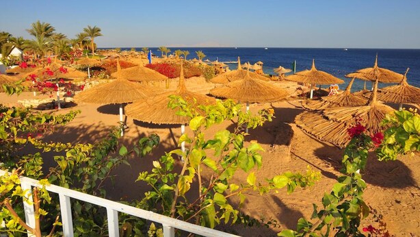 Resort à beira-mar com guarda-sóis de palha, palmeiras e vista para o mar.