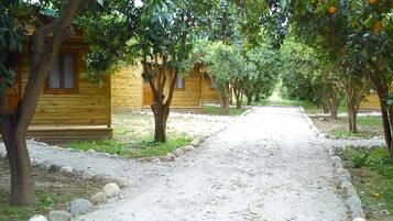 Área da propriedade