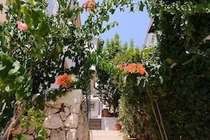 Jardim