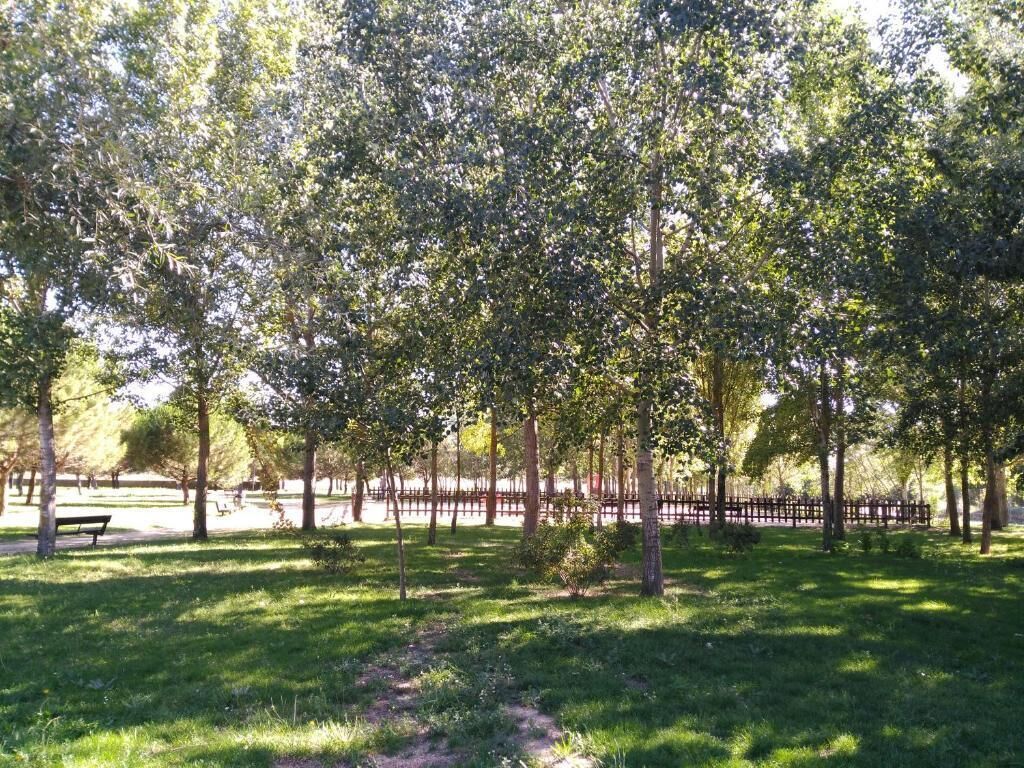 Um parque com árvores, um banco e uma cerca.