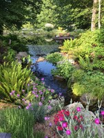 Quarto Superior, várias camas, vista para o jardim | Vista do quarto