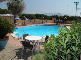 Piscina cercada por vegetação, com espreguiçadeiras e guarda-sóis.