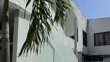Área de piscina com um elemento aquático, uma palmeira e uma estrutura de edifício branca.