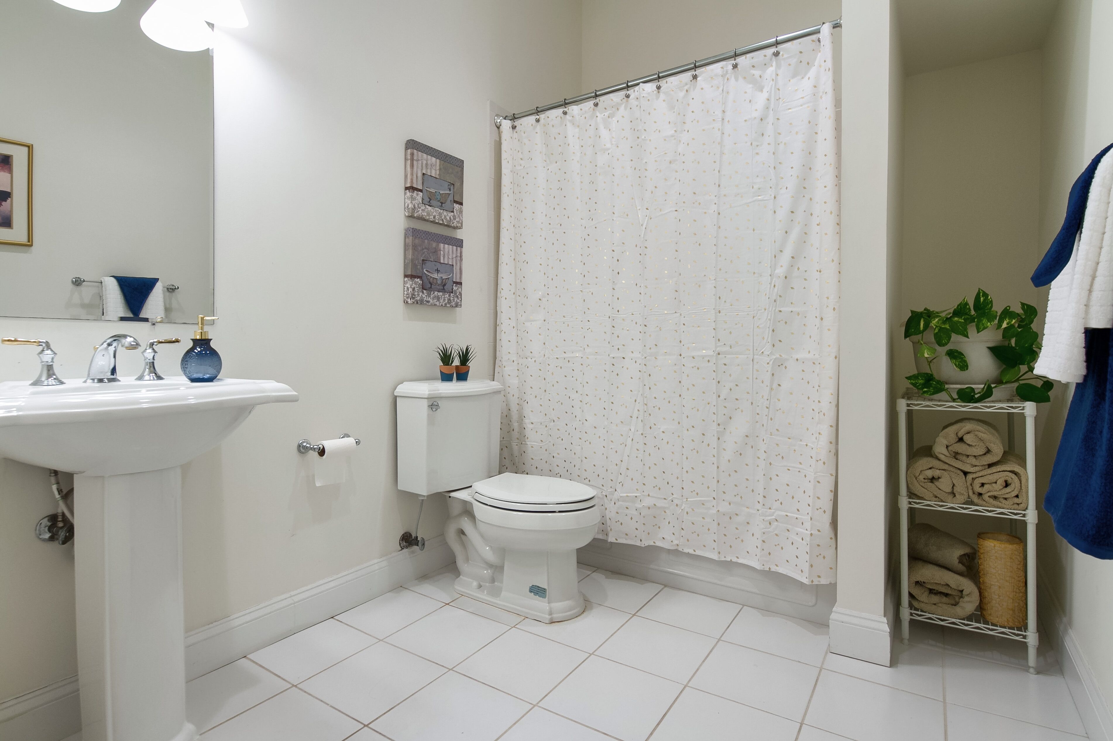 New! Ft Marcy 2 Br 1 Lv/drm 1 Ba On Pimmit Run, Hike/ Kayak To The Potomac River - Bethesda, MD