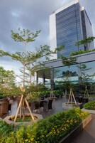 Um jardim no terraço com área de estar externa, um edifício moderno ao fundo e céu claro.