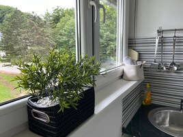 Estúdio Deluxe, vista para a montanha | Cozinha privada | Uma cafeteira/bule 