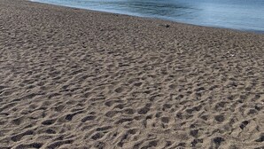 Uma praia com areal dourado, mar calmo e uma colina com edifícios ao fundo.