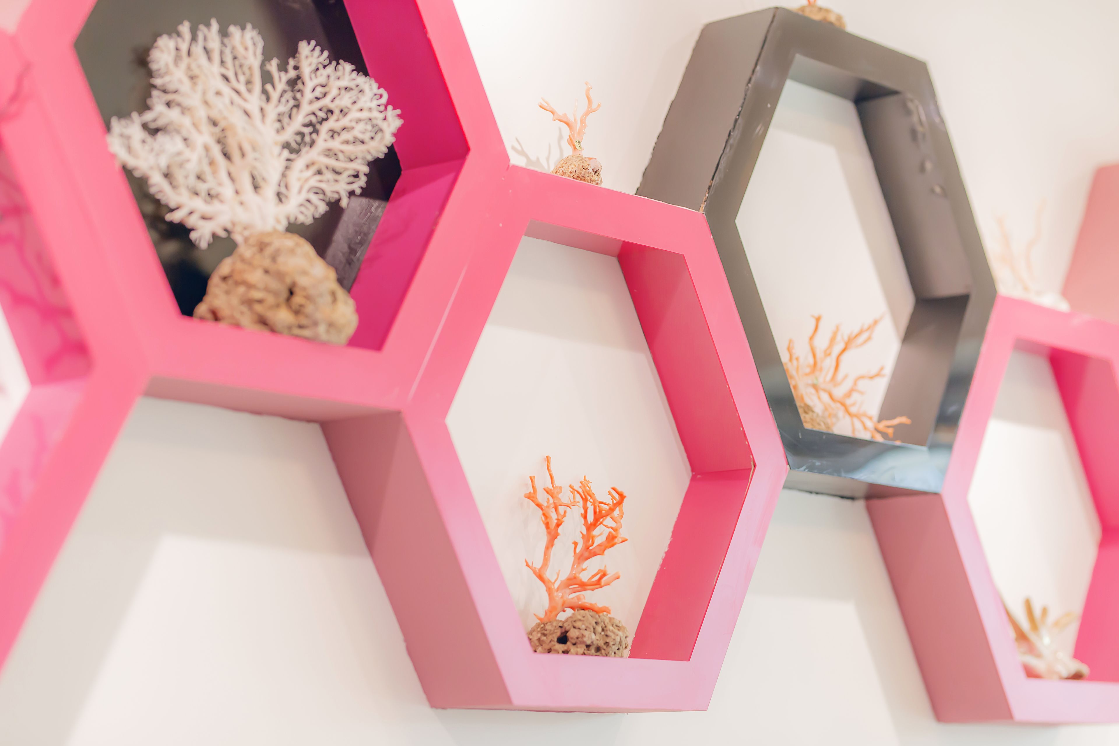 Paredes com molduras hexagonais exibindo corais e pedras.