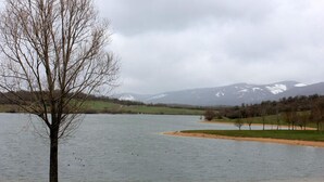 Um lago com uma árvore em primeiro plano, uma praia de areia e montanhas ao fundo.