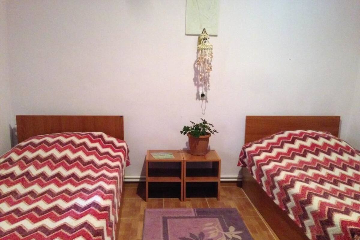 Quarto pequeno com duas camas, uma mesa de cabeceira com uma planta e um adorno pendurado.