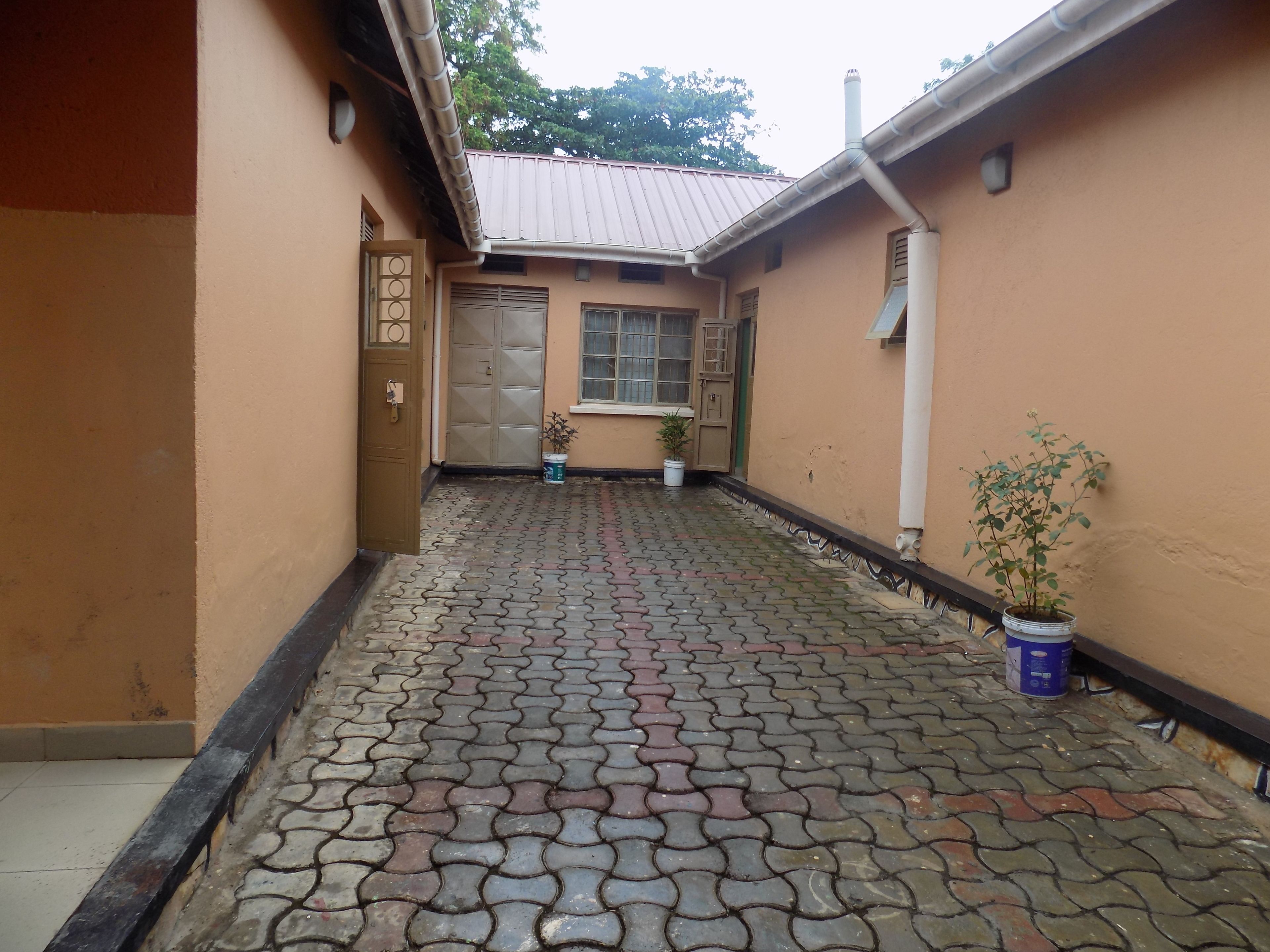 Um beco estreito com chão de azulejos, uma porta marrom e duas plantas em vasos.