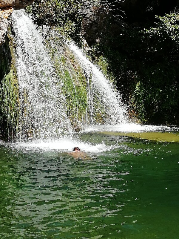 Les Chataigniers - Gard
