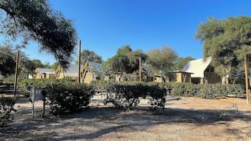 Tenda (Campsite. No bed provided. Bring tent) | 2 quartos, Wi-fi grátis, roupa de cama fornecida