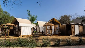 Pormenores do exterior