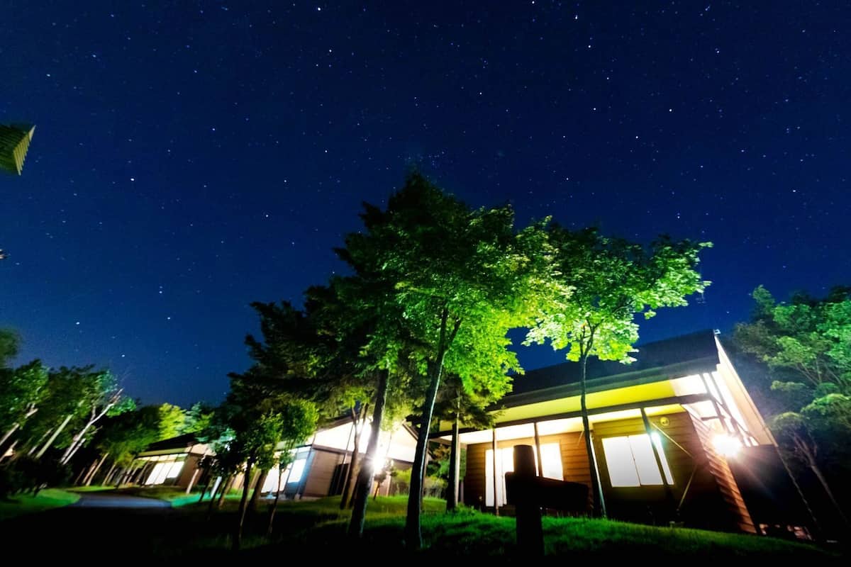 Uma casa moderna com uma janela grande, rodeada por árvores e um céu noturno límpido.