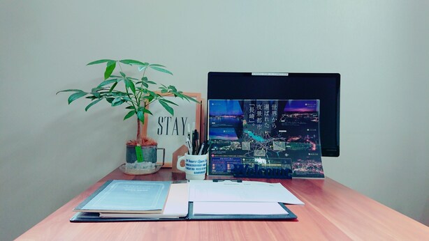 Uma escrivaninha com monitor exibindo uma paisagem urbana, um vaso de planta, uma caneca e alguns papéis.