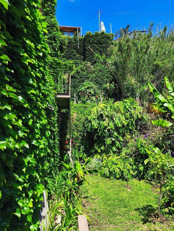 Um jardim exuberante com vegetação densa, uma pequena construção e um céu azul límpido.