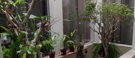 Terraço/pátio