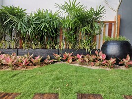 Um jardim com diversas plantas, uma cerca de madeira e um grande cachepot preto.