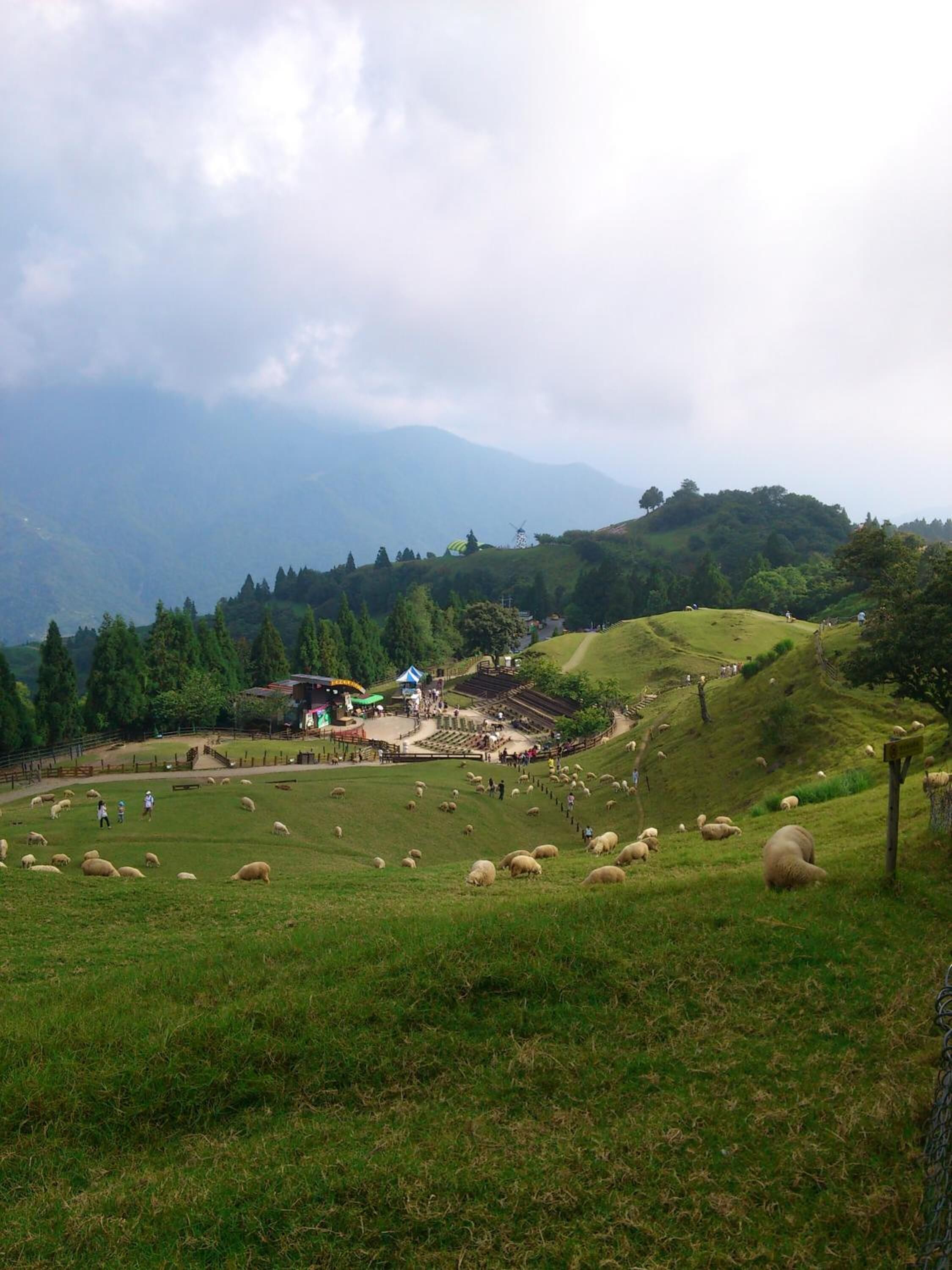Paisagem rural com um vasto campo aberto, ovelhas pastando e uma pequena área de palco com algumas pessoas.