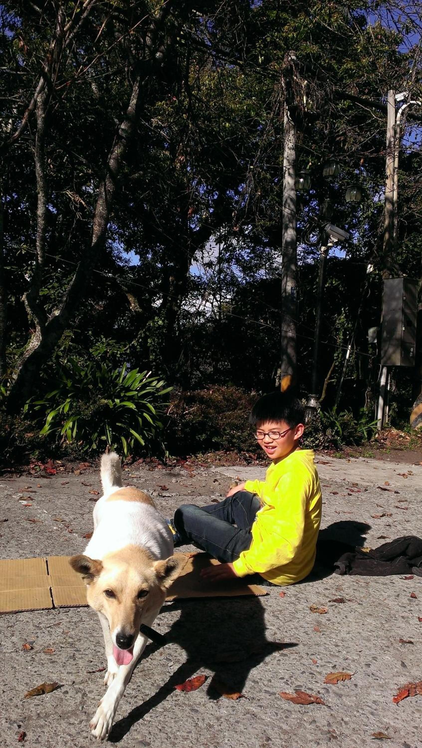 Uma pessoa sentada no chão com um cachorro ao lado, cercada por árvores e um poste de luz.