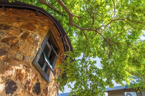 Um edifício de pedra com uma janela e um galho de árvore sobre ela.