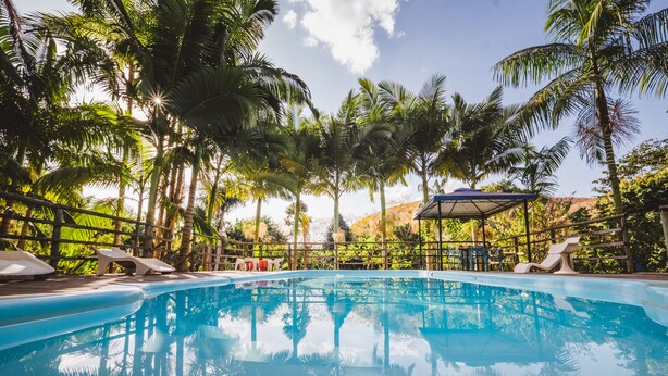 Piscina azul límpida rodeada por palmeiras e um deck de madeira com espreguiçadeiras.