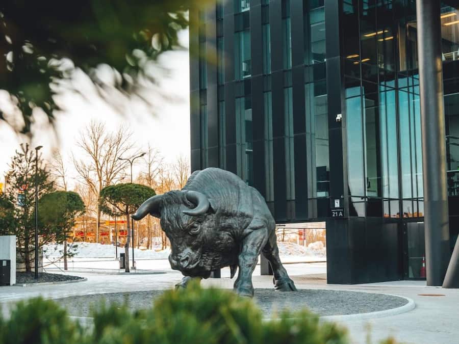 Terrenos do alojamento