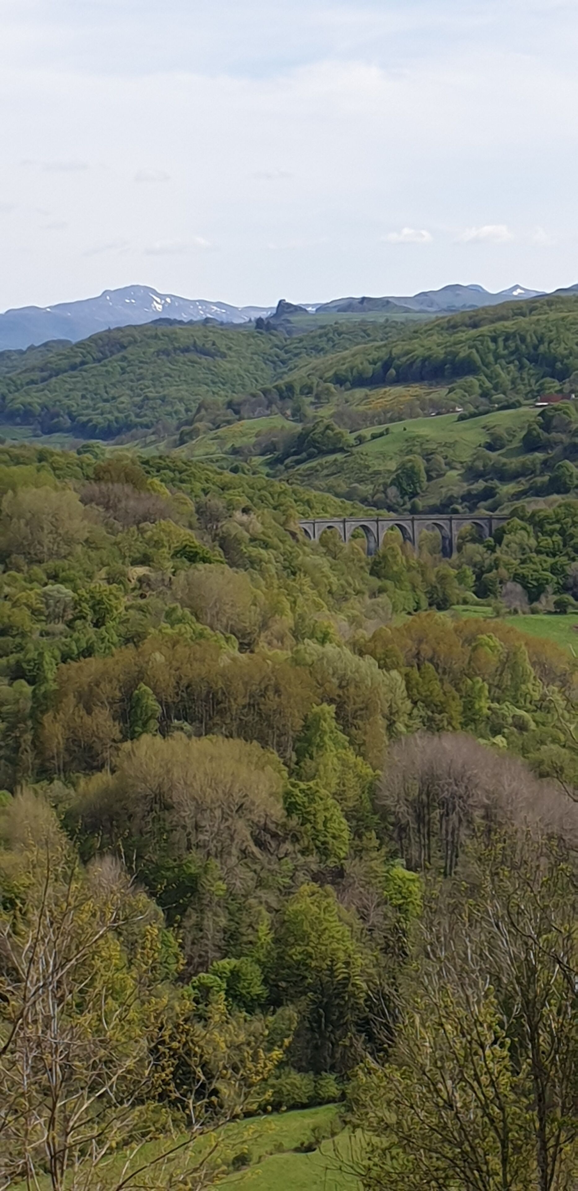 Paisagem com uma ponte de pedra à distância, rodeada por vegetação exuberante e colinas.