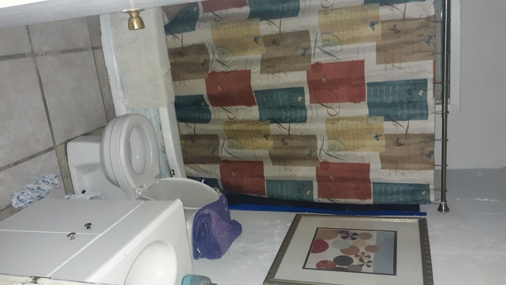 Perfect For The Plants!! - Deer Park, TX