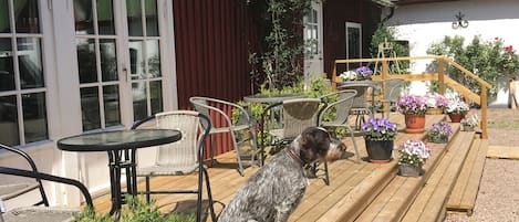 Terraço/pátio interior