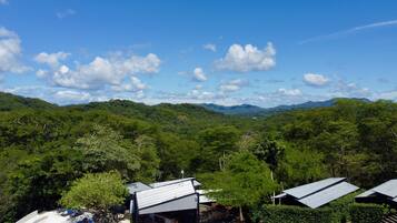 Zona residencial com casas rodeadas por uma floresta verde densa e montanhas ao fundo.