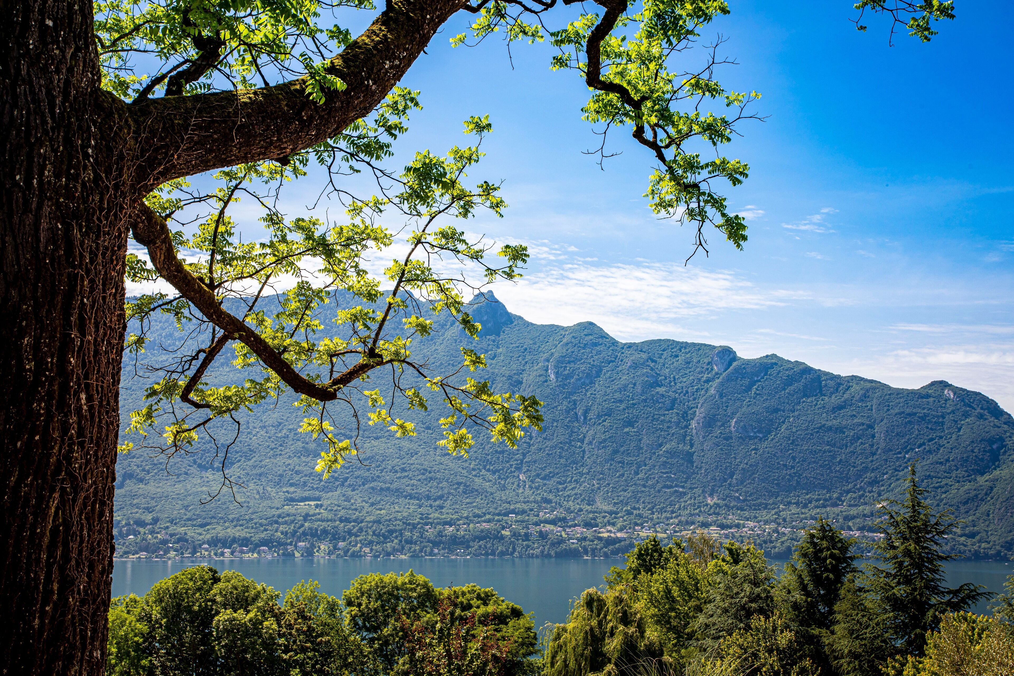 Paisagem montanhosa com um lago e floresta densa.
